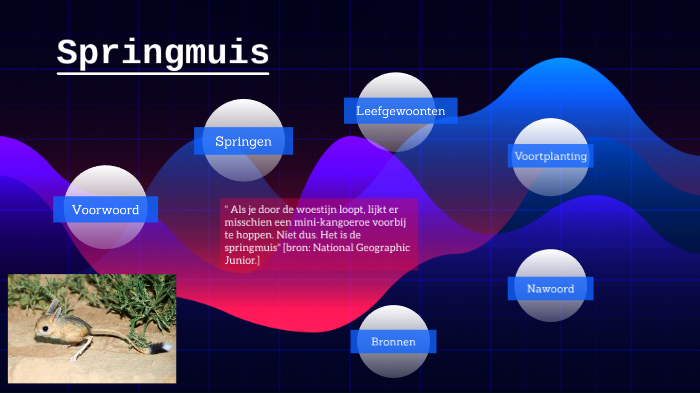Springmuis by J. Noordermeer on Prezi
