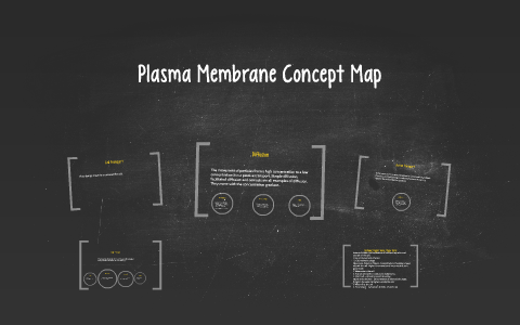 Plasma Membrane Concept Map by Jessica Cranford on Prezi