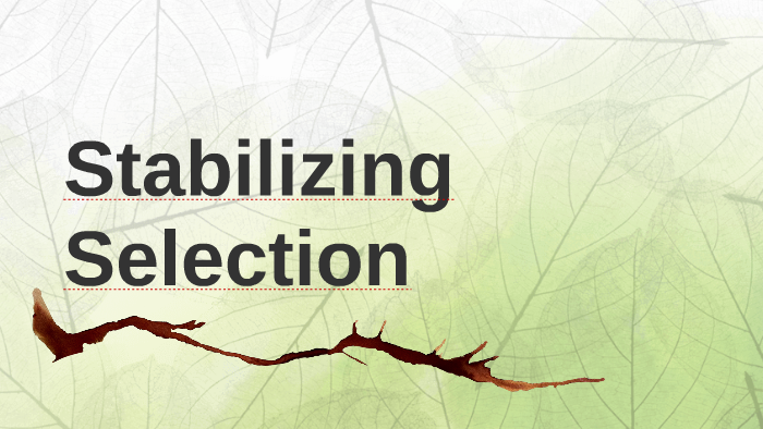 Stabilizing Selection