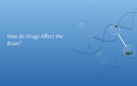 How do Drugs Affect the Brain? by Kevin Cashman on Prezi