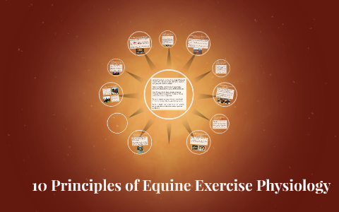10 Principles of Equine Exercise Physiology by Madison Cocuzza on Prezi
