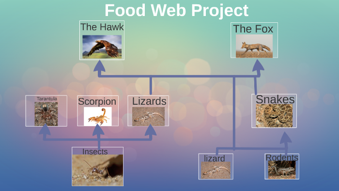 Create your own Food Web Project by Sarodier sarodier on Prezi