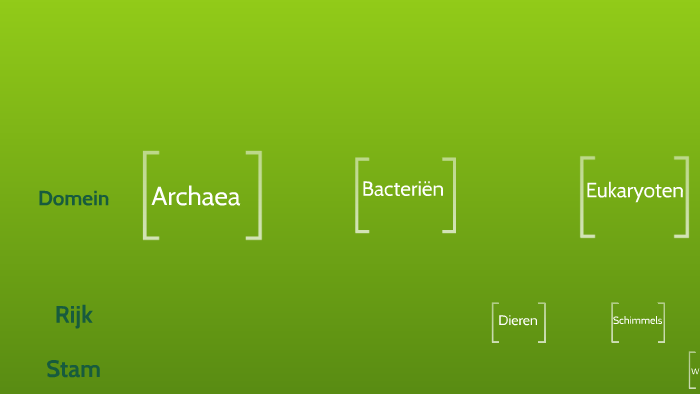 Het rijk van de planten by Larissa Meijer on Prezi