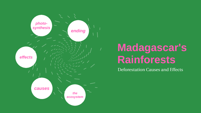 Madagascar Rainforests by Hailey Young-Bao on Prezi