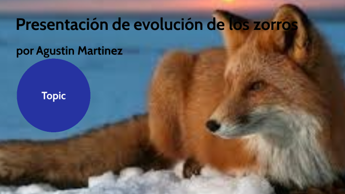 presentacion de evolucion de los zorros by agustin martinez on Prezi