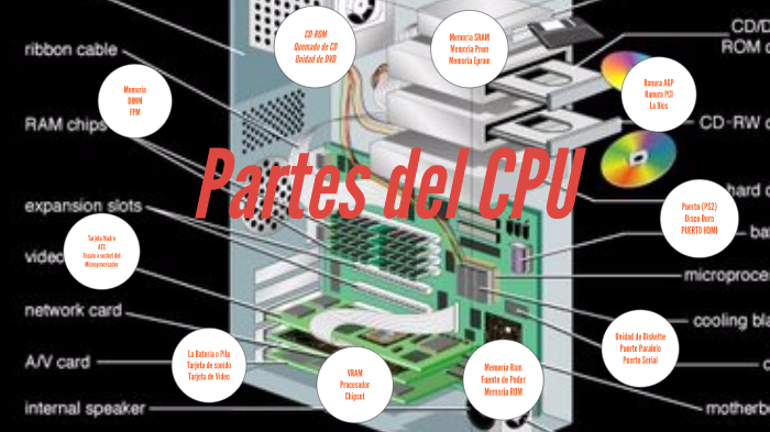 PARTES DEL CPU -MICAELA FELIPE by micaela felipe on Prezi