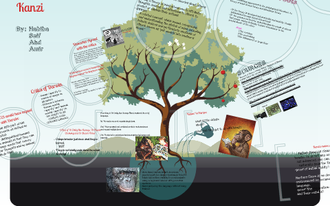 Kanzi by Ahd Sherif on Prezi