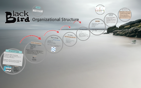 Black Bird Organizational Structure by Jinan habbal on Prezi
