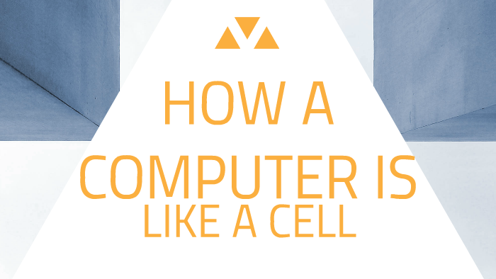 How a cell is like a computer by Expired Pears on Prezi