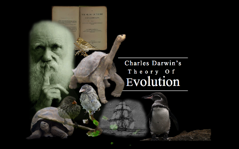 Charles Darwin's Theory of Evolution by CMM OMH on Prezi