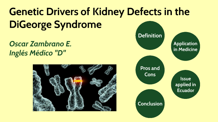 Genetic Drivers of Kidney Defects in the DiGeorge Syndrome by Oscar ...