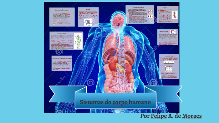Sistemas do corpo humano by felipe moraes on Prezi