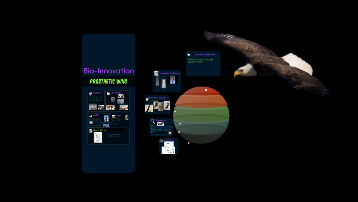 Bald Eagle Prosthetic Wing by Sanjana Sundar on Prezi