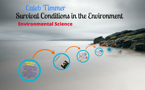 Survival Conditions in the Environment by Caleb Timmer on Prezi