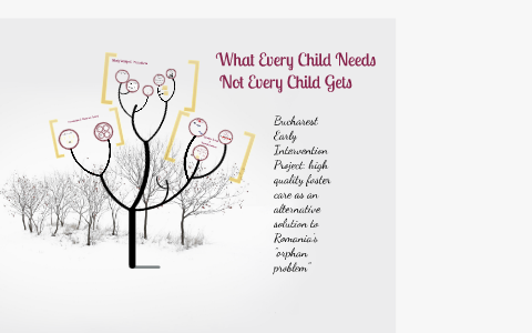 Bucharest Early Intervention Project by Kelsey Harbert on Prezi