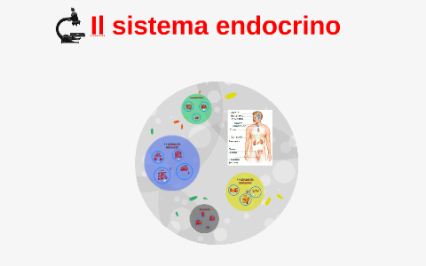 Il sistema endocrino by Nicola Dell'Osso on Prezi