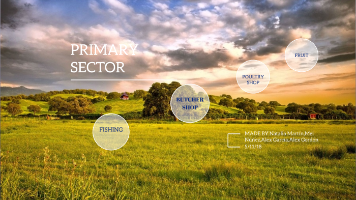 PRIMARY SECTOR(GEOGRAPHY) by Geografia proyecto on Prezi