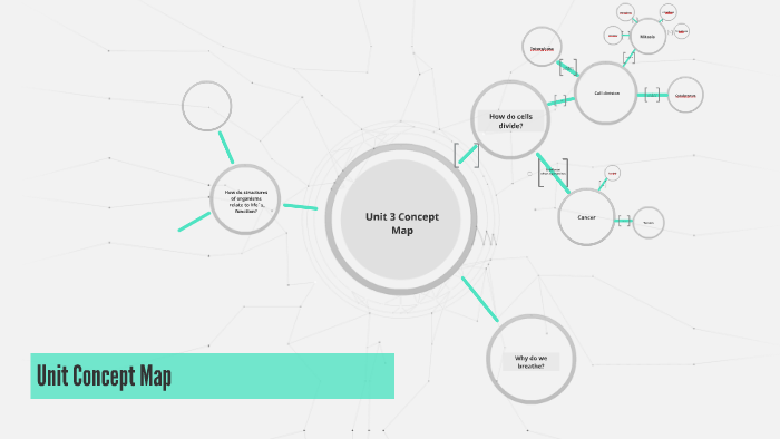 Unit Concept Map by Johanna Leon