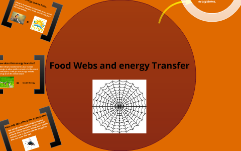 Food Web Energy Transfer by Joey Lanier on Prezi