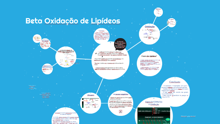 Beta Oxidação de Lipídeos by Hanny Karoline on Prezi