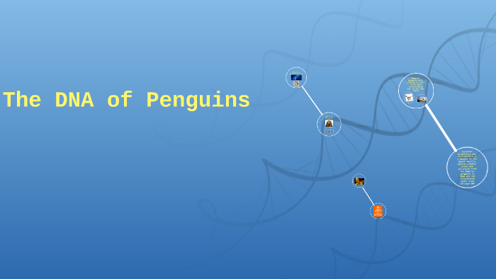 The DNA of Emperor Penguin by patrick mahon on Prezi