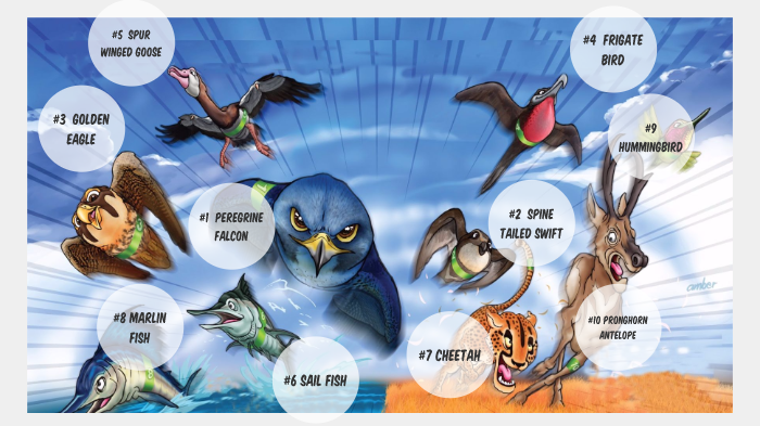 TOP 10 FASTEST ANIMALS IN THE WORLD by Mark Justin Superable on Prezi