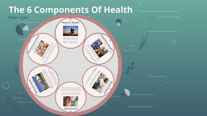 The 6 Components Of Health by Peter Lyon