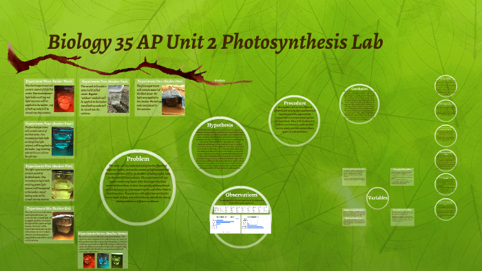 Biology 35 AP Unit 2 Photosynthesis Lab by Carter Markic on Prezi