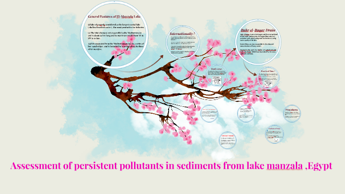 General Features of El-Manzala Lake by hajar Nagdy on Prezi