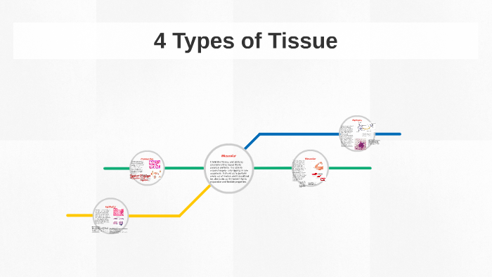4 Types of Tissue by Gigi Joyce on Prezi