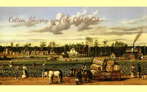 Cotton, Slavery, and the Old South by Tim Bennett on Prezi