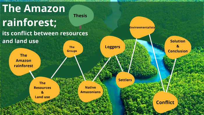 The Amazon rainforest; its conflict between resources and land use by ...