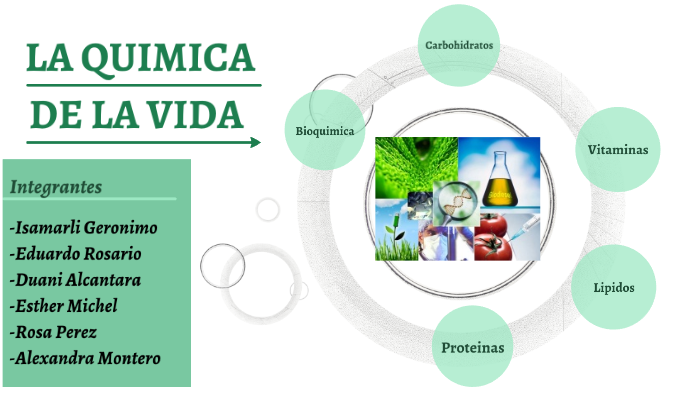 La quimica de la vida by Isamarli Geronimo on Prezi