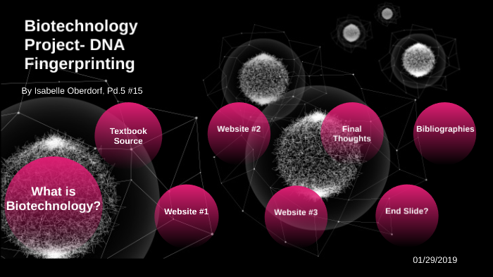 BIOTECH. PROJECT- DNA Fingerprinting by Izz O on Prezi
