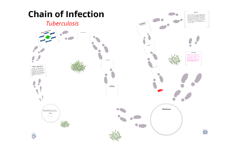 Chain of Infection: Tuberculosis by Esther Hockey on Prezi