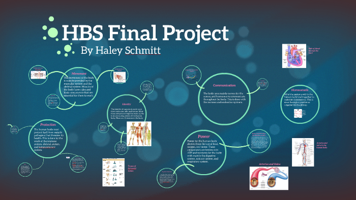 HBS Final Project by Haley Schmitt on Prezi