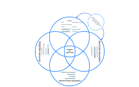 diagrama circulos by Fernando Fer on Prezi