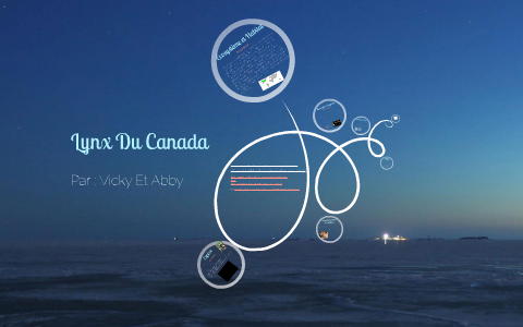 Lynx Du Canada by Vicky Gagné on Prezi