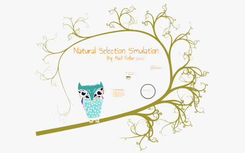Natural Selection PheT Simulation by Madi Secret on Prezi