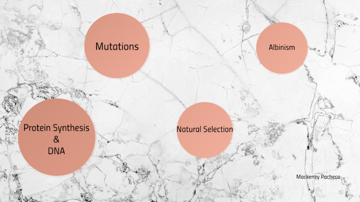 Melanin Concept Map by Mackenzy Pacheco Martinez on Prezi