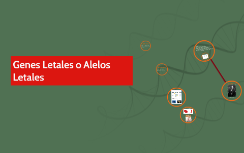 Genes Letales o Alelos Letales by John Nollan on Prezi