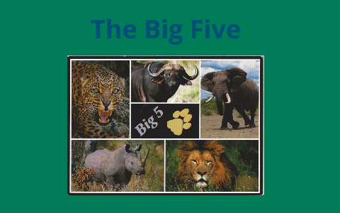 The Big Five of South Africa by Anja de Waal on Prezi