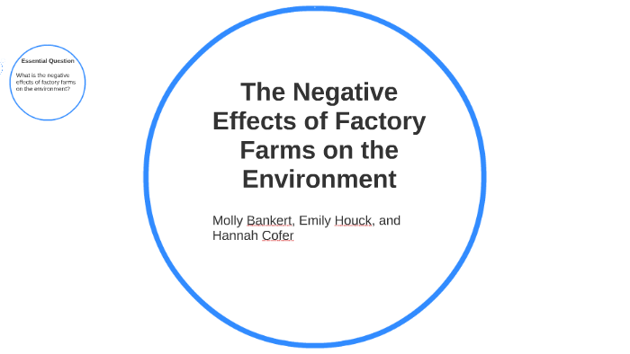 The Negative Effects of Factory Farms on the Environment by Molly ...