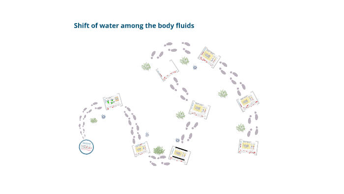 Ch. 2 Regulation of Fluids- Shift of water among the body fluids. by ...