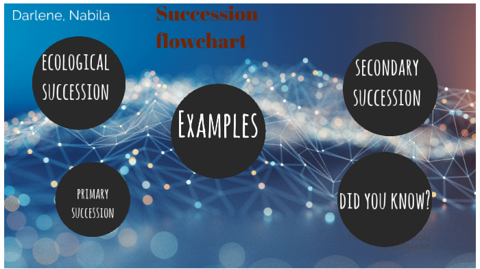 succession flowchart by Darlene Concepcion on Prezi
