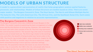 Urban Pattern Infographic by Lily Long on Prezi Design