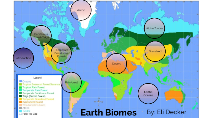 Biomes Presentations by Eli Decker on Prezi
