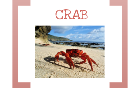 Crab Basketball by Tina D on Prezi