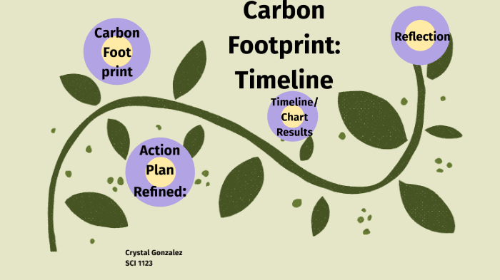 Carbon Footprint: Timeline by Crystal Gonzalez on Prezi
