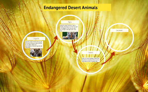 Endangered Desert Animals by Dixie-Lee Khane on Prezi